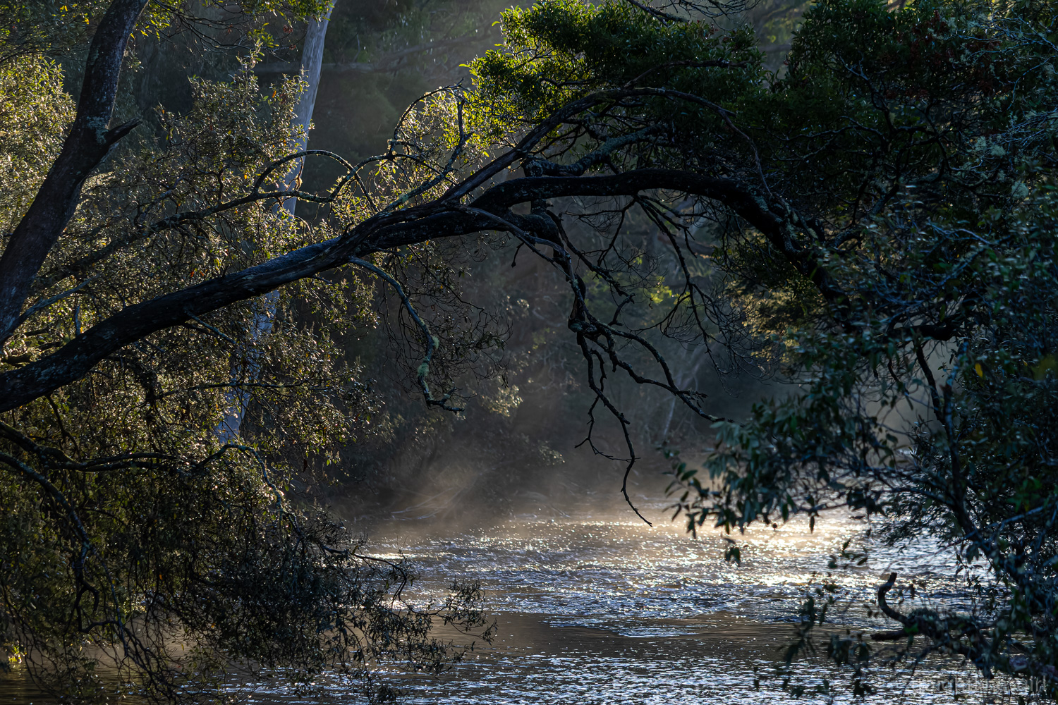 A weekend retreat: Mount Field National Park | stepping on the cracks